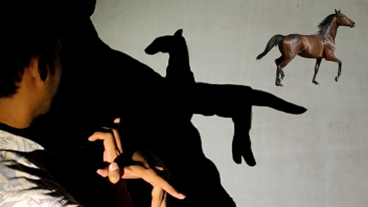 Hand Shadow Master | Unique Event Entertainment | DXB Entertainers